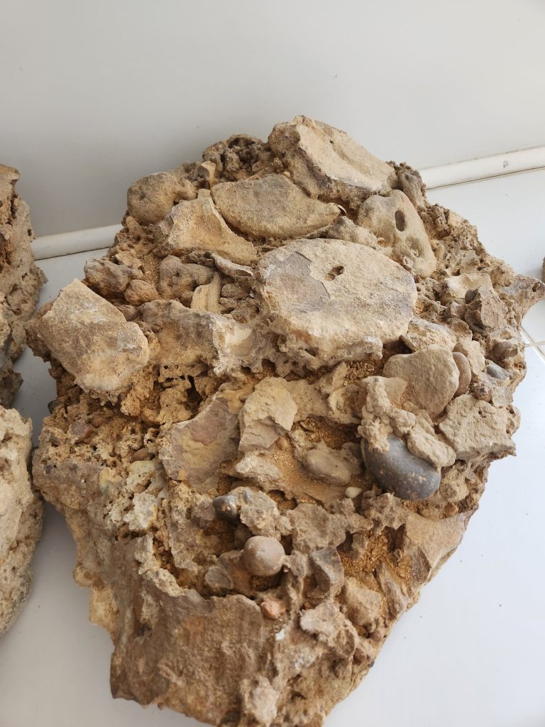 Sustainability - BIFOX