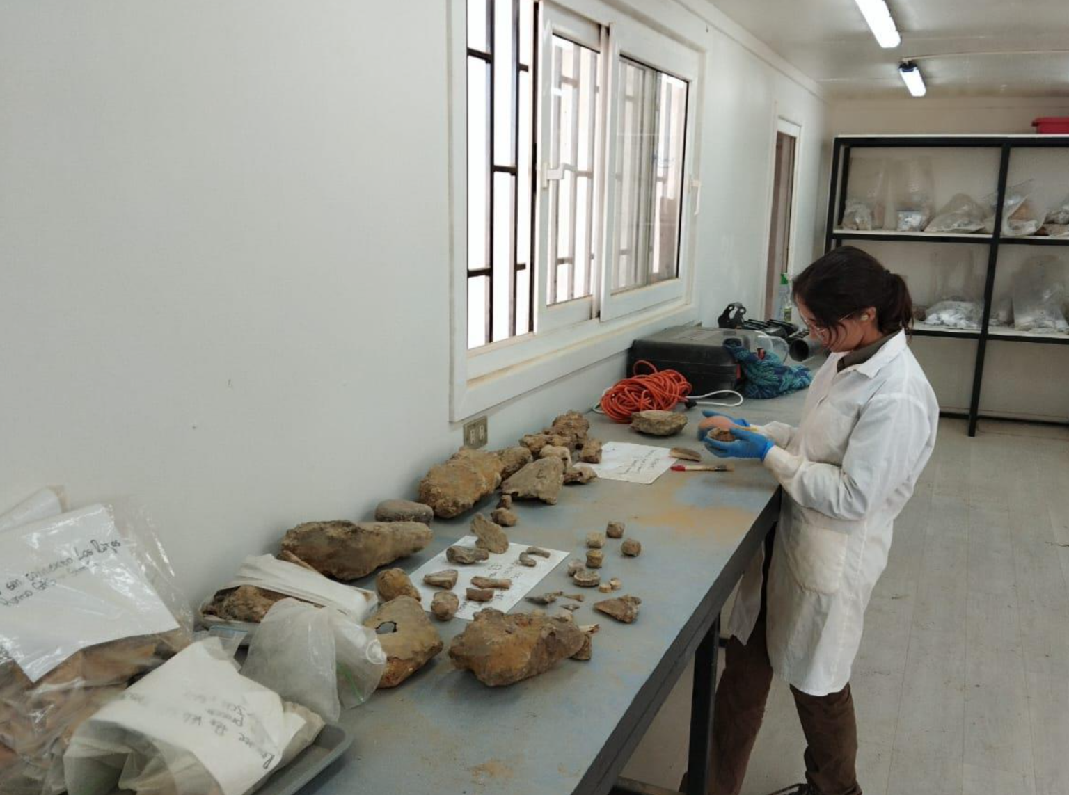 Product Information and Development - BIFOX